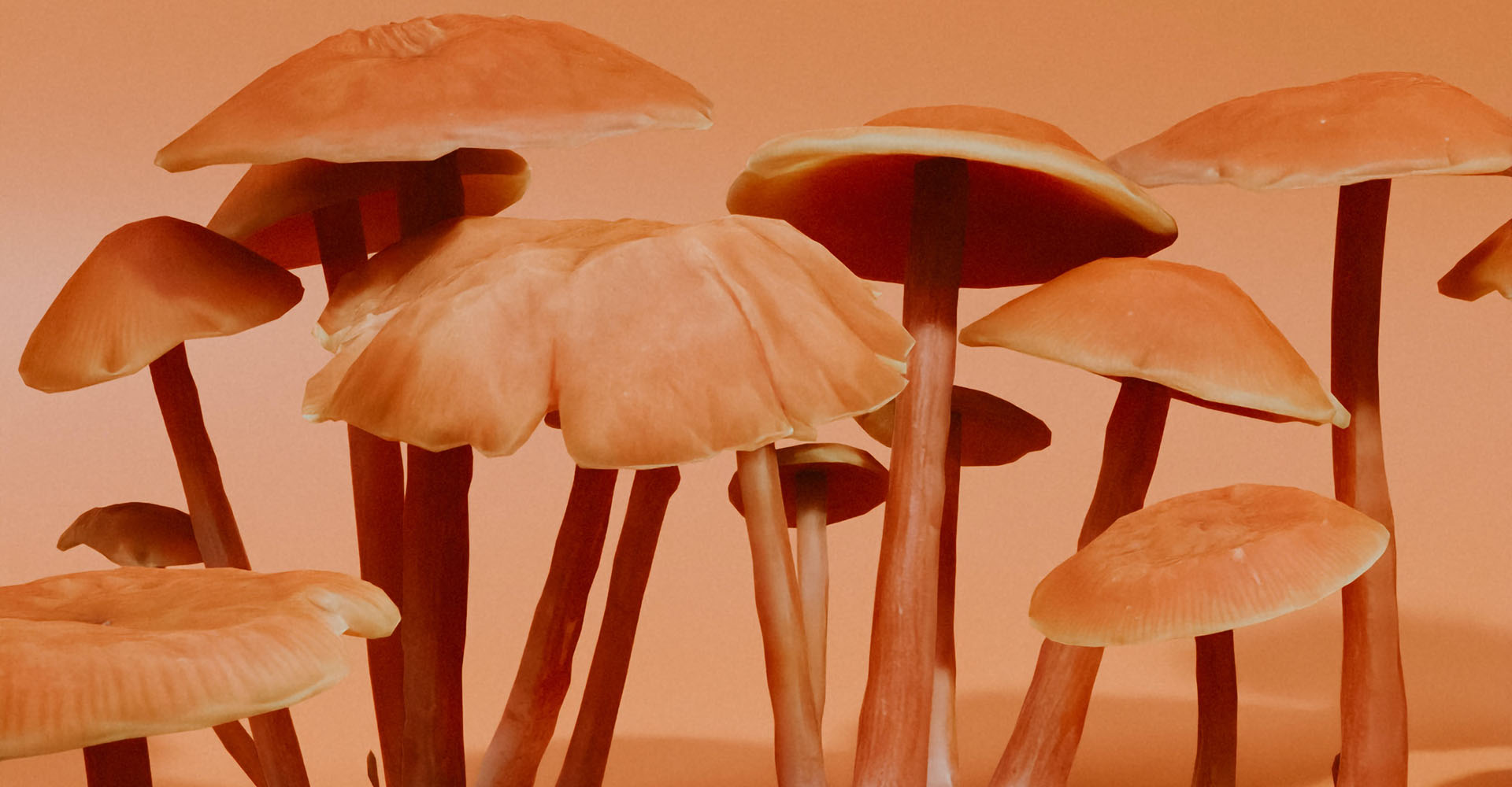 Fun fungi gifts for your trippy friend | Ensemble Magazine