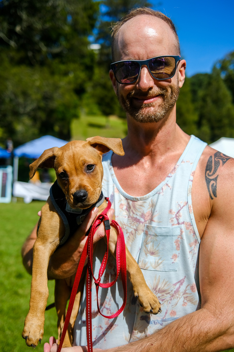 Cute dogs at Woof! The Auckland Rainbow Dog Show | Ensemble Magazine