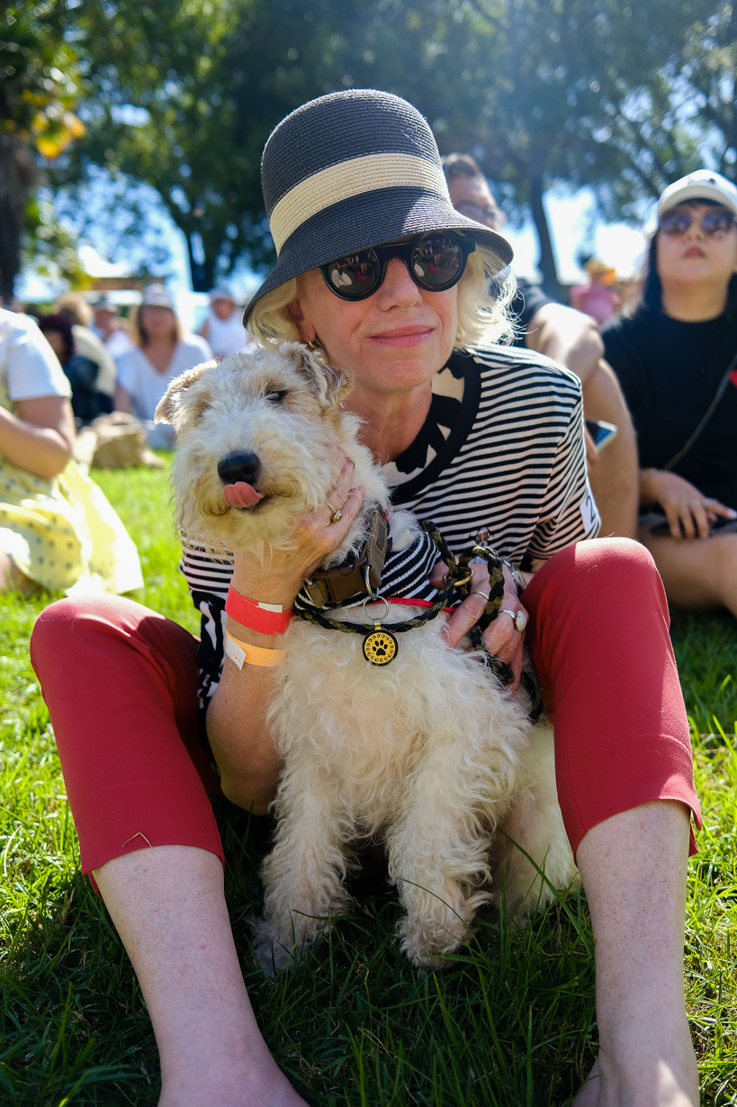Cute dogs at Woof! The Auckland Rainbow Dog Show | Ensemble Magazine