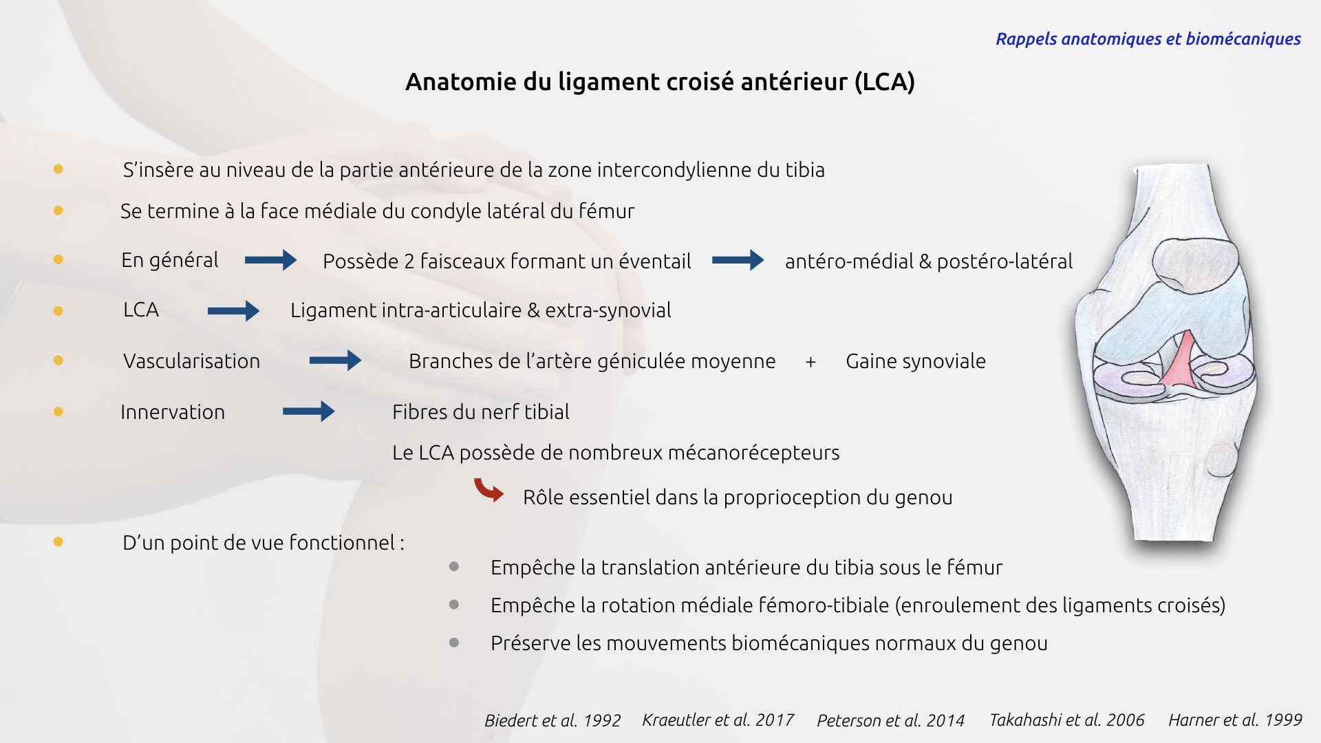 Module - La rupture du LCA