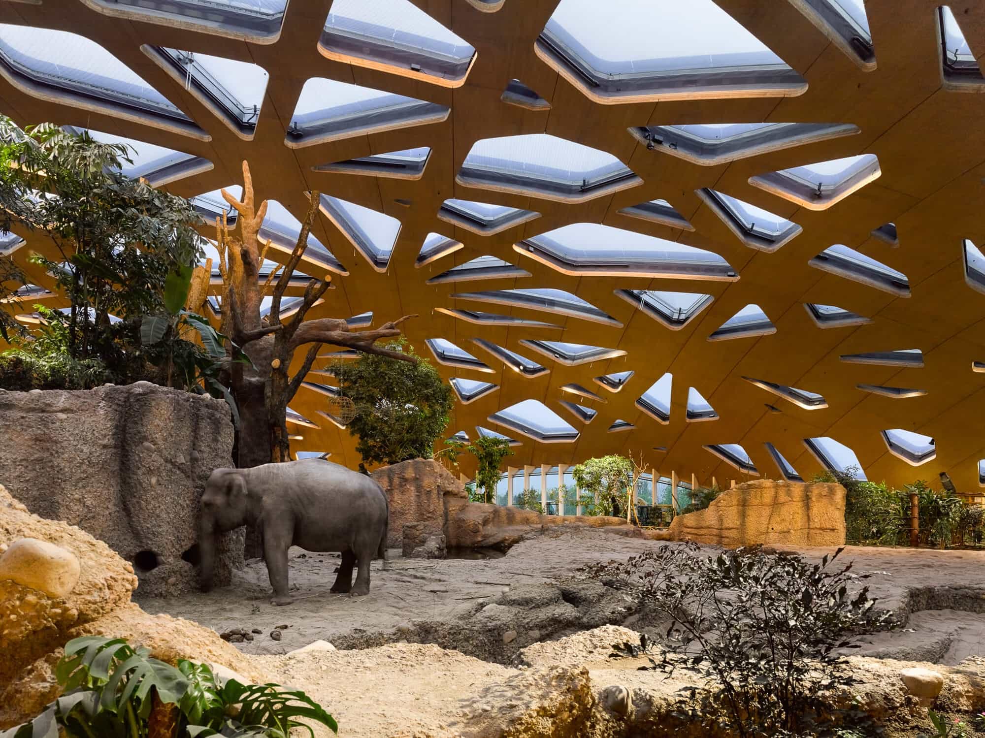 Elefantenhaus ZOO Zürich by Alexander Gempeler | ALPA Image Gallery