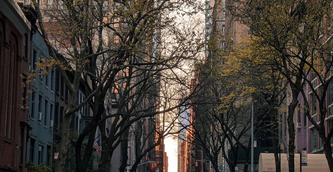 New York Medical College (NYMC)