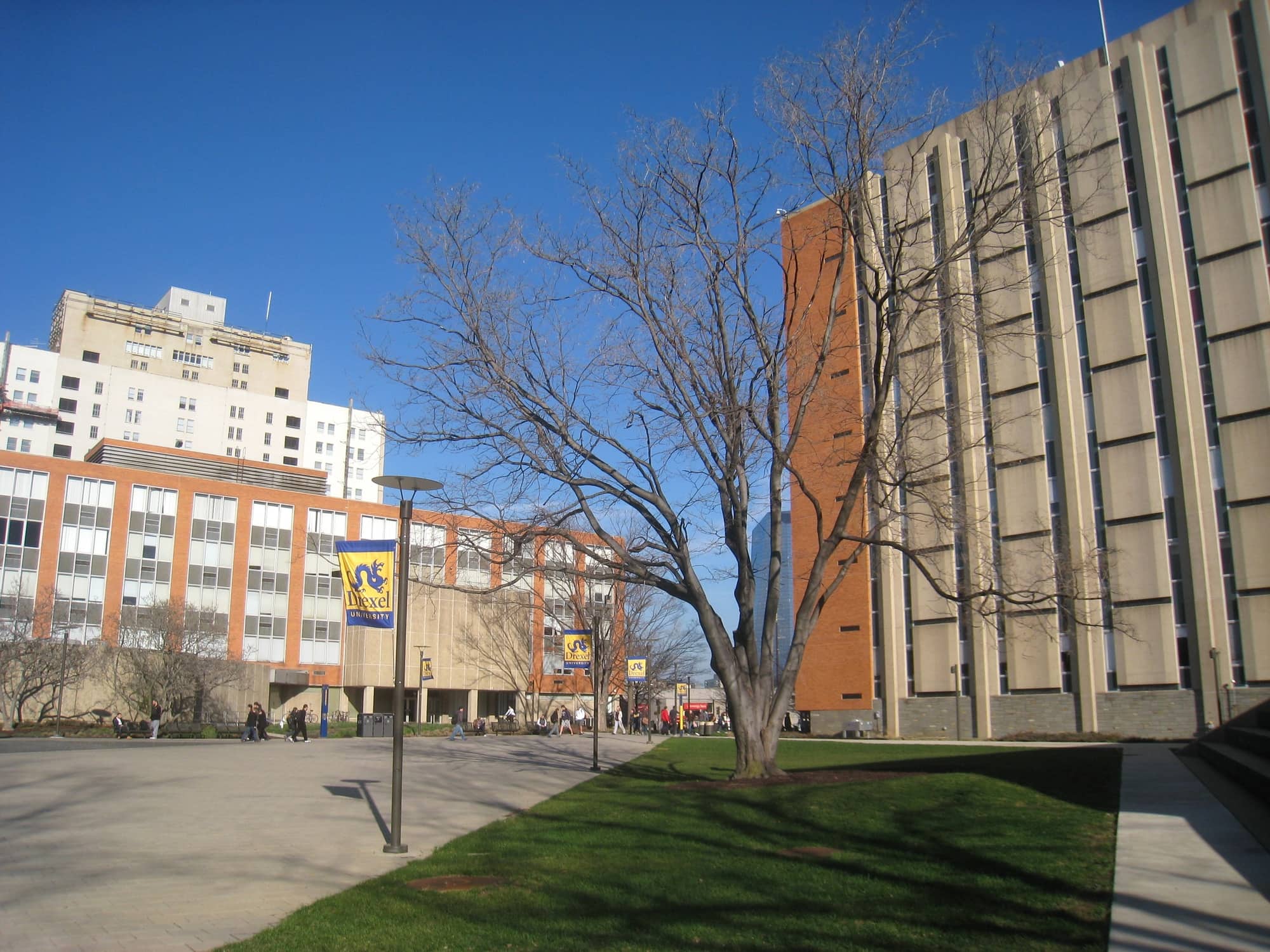 Top Pre-Med Colleges of 2021 by Clinical Rank