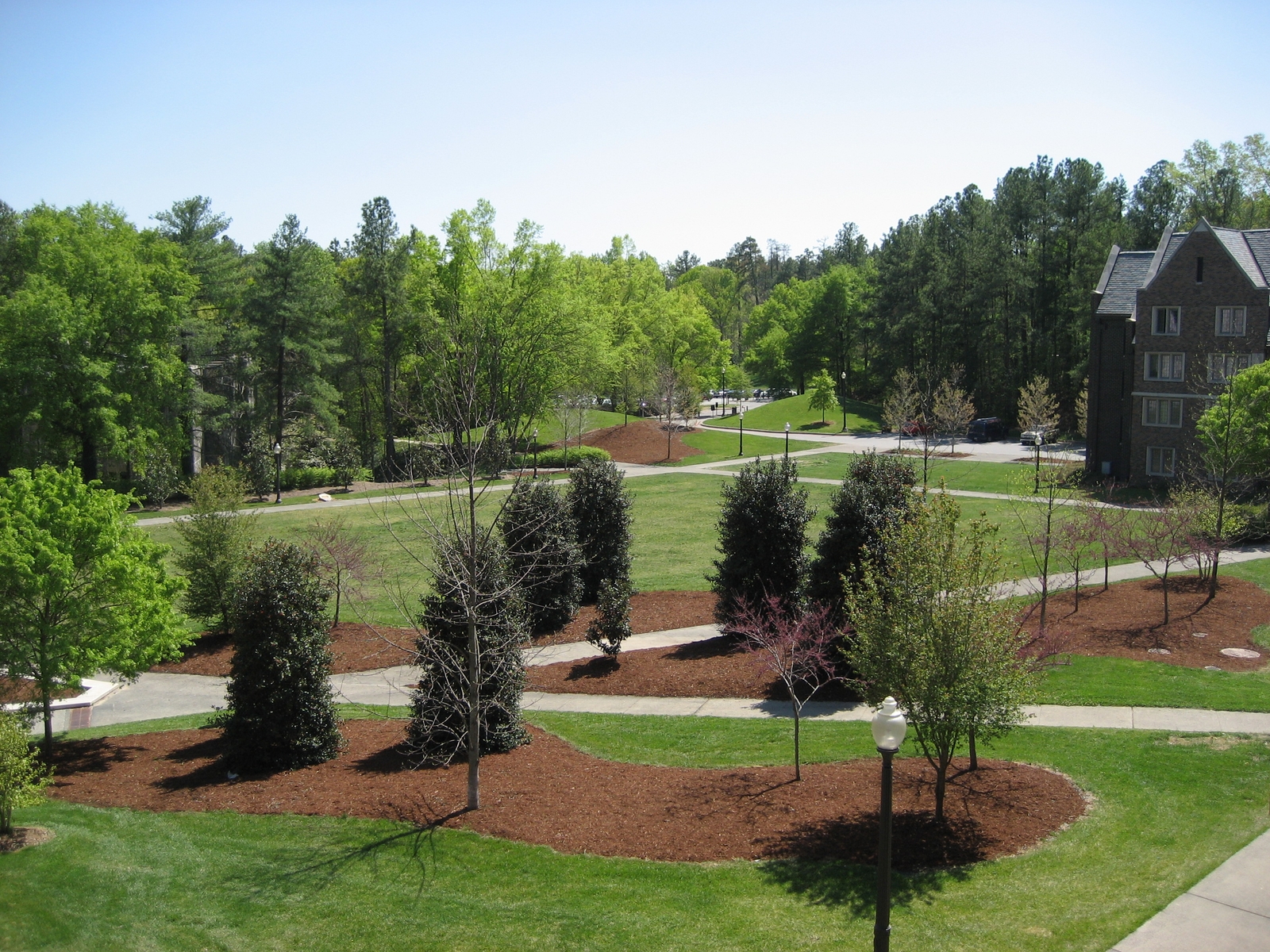 Top Pre-Med Colleges of 2021 by Pre-Med Popularity Rank