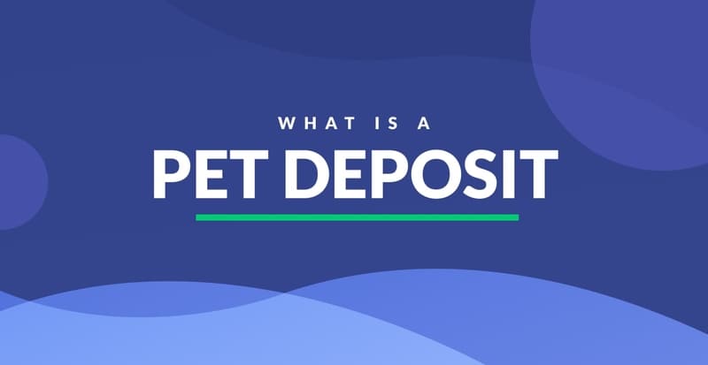What Is A Pet Deposit | Definition & Examples