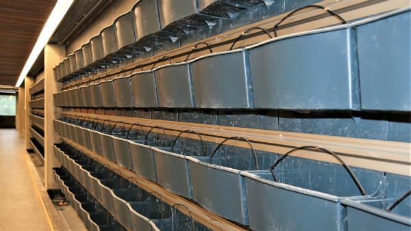 Bata Library: Your 10% Update