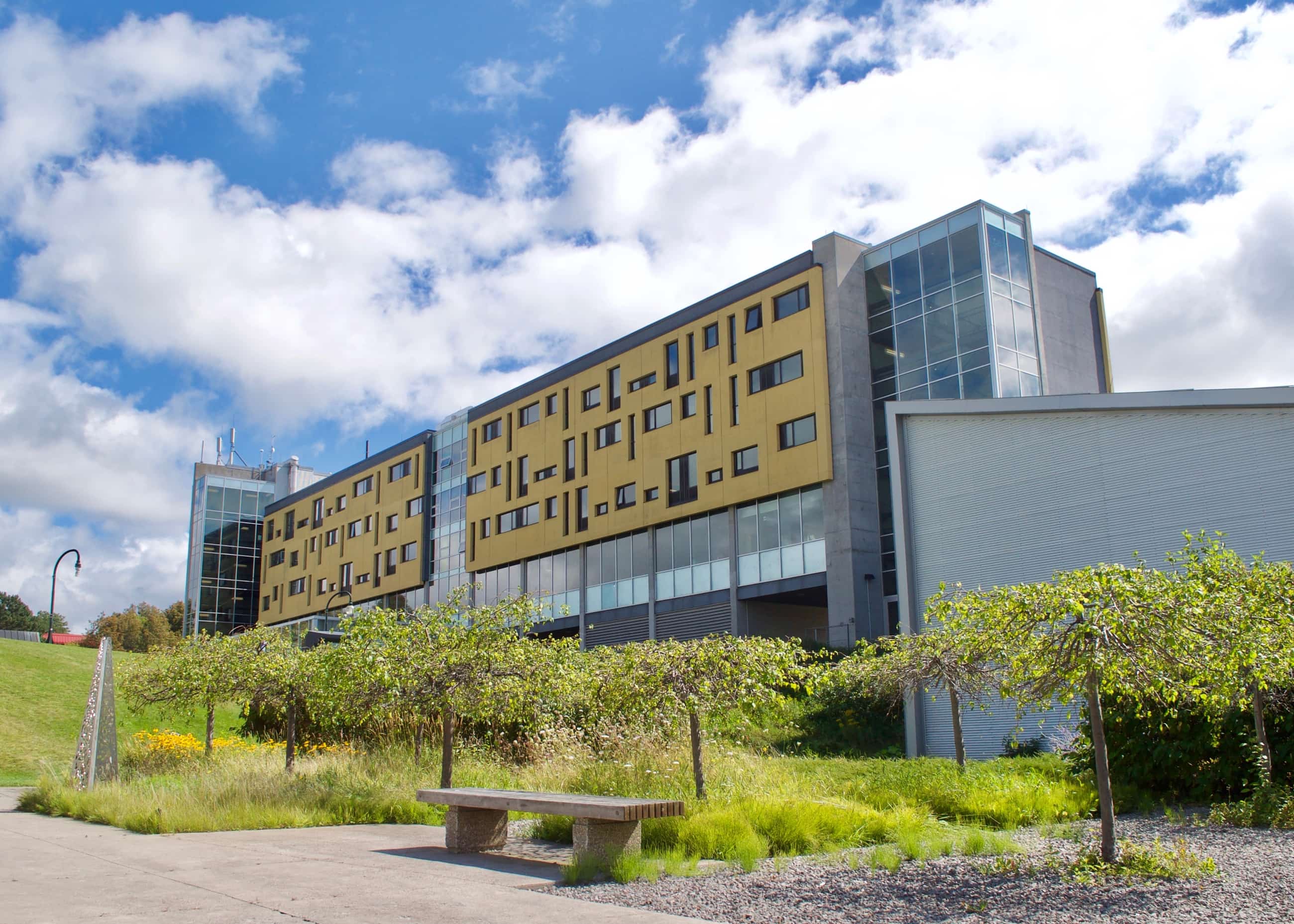 Peter Gzowski College: Future Forward