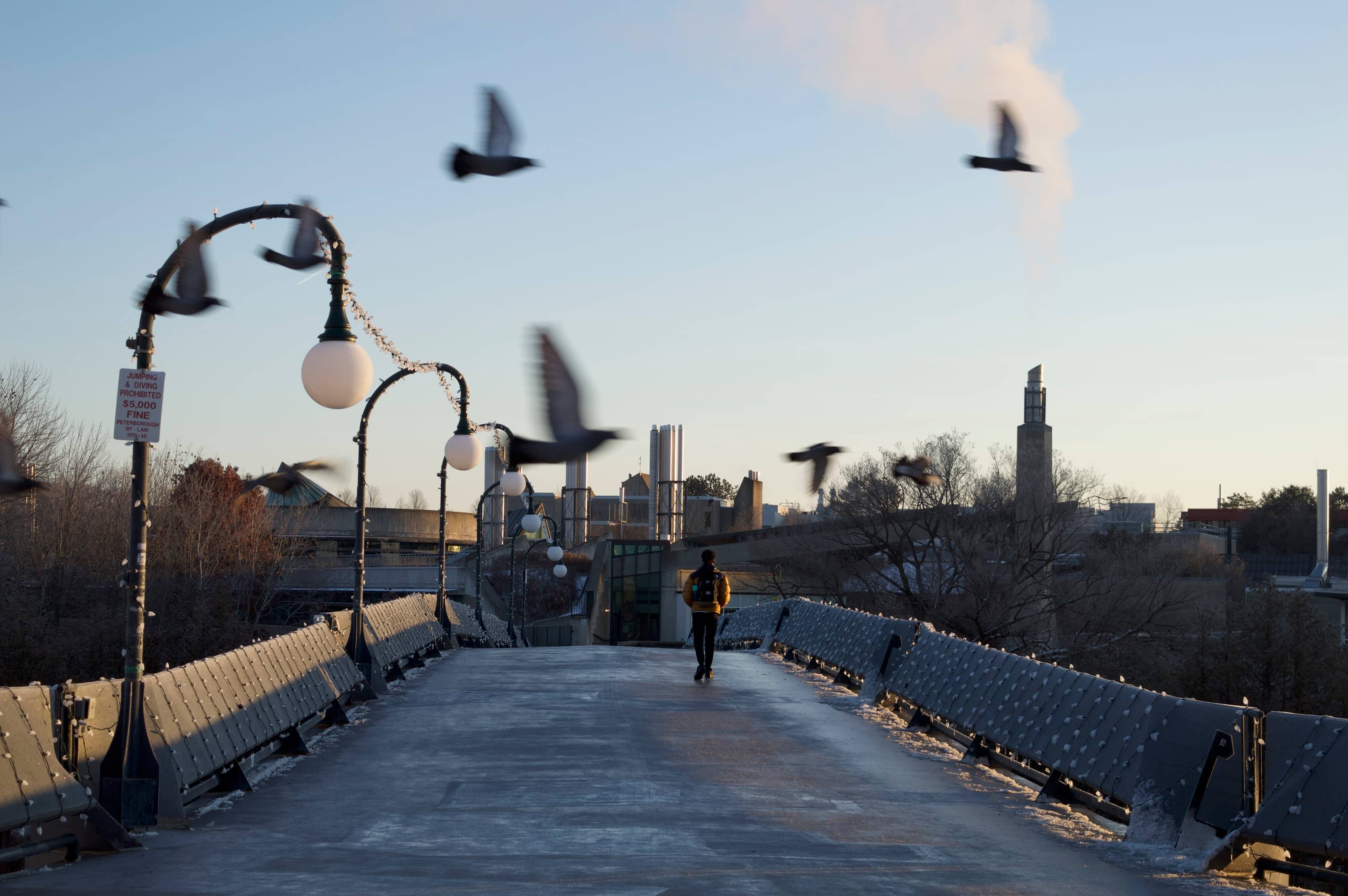 Back to Normal? Trent says “Yes,” Whether You Like it or Not