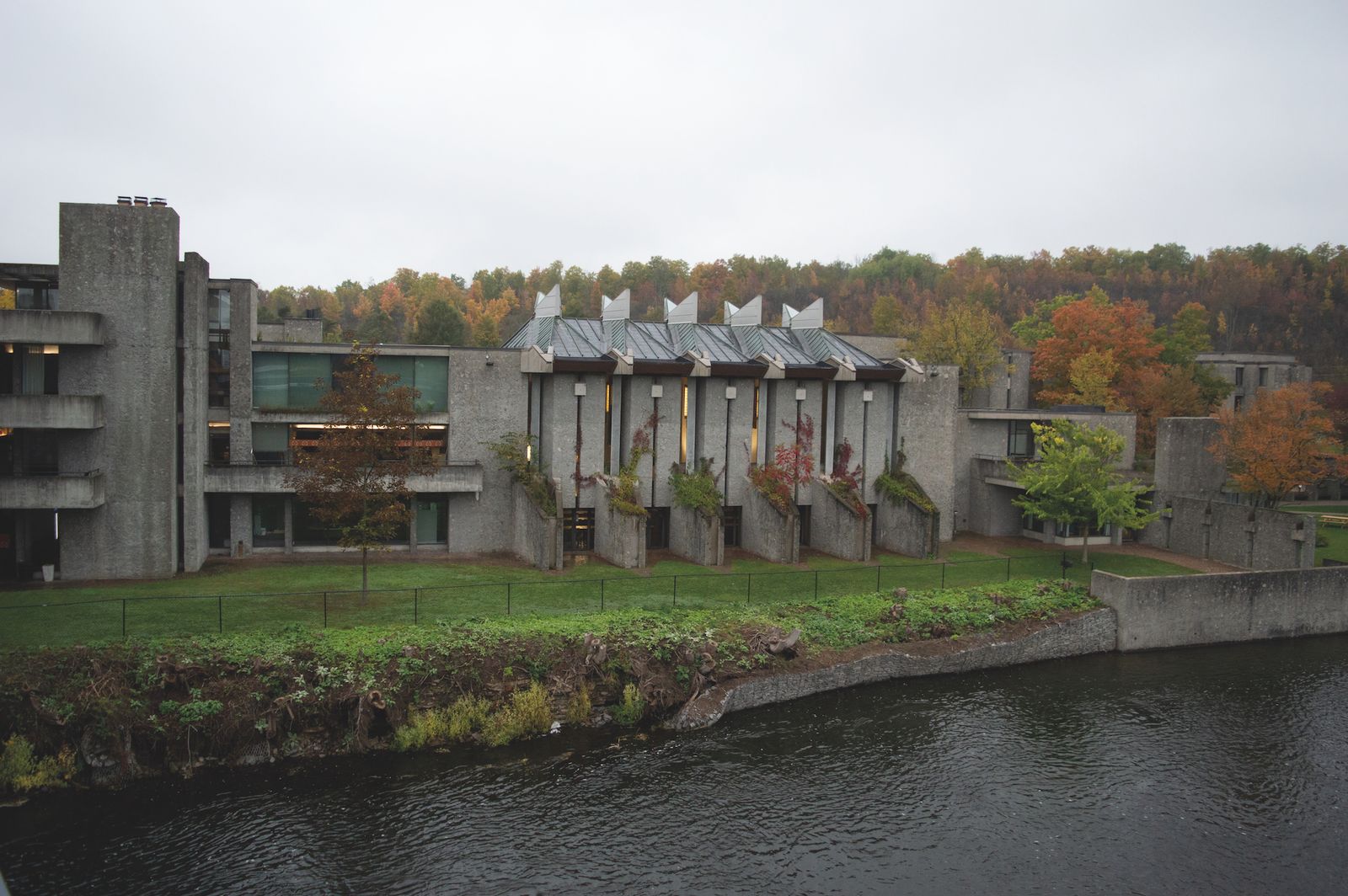 The Highs and Lows International and Exchange Students Experience at Trent