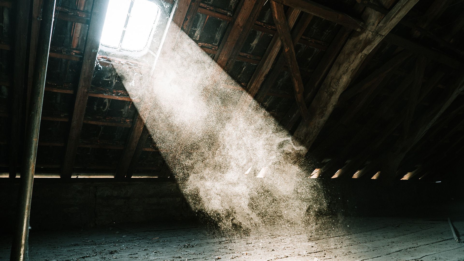 Loft Clearance and Insulation Removal Sussex | G&S Clearance