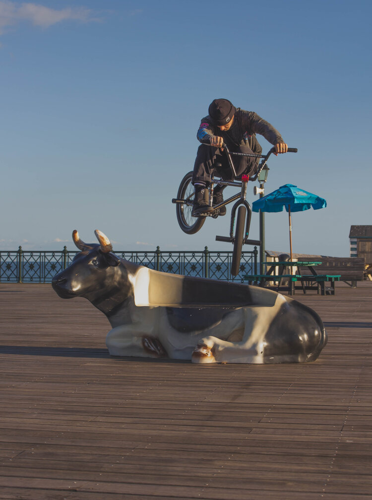 Felix Bike Check