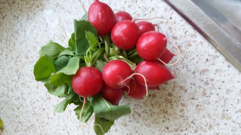 Charles Madden – WoWS: Legends – Commander Skills and Builds