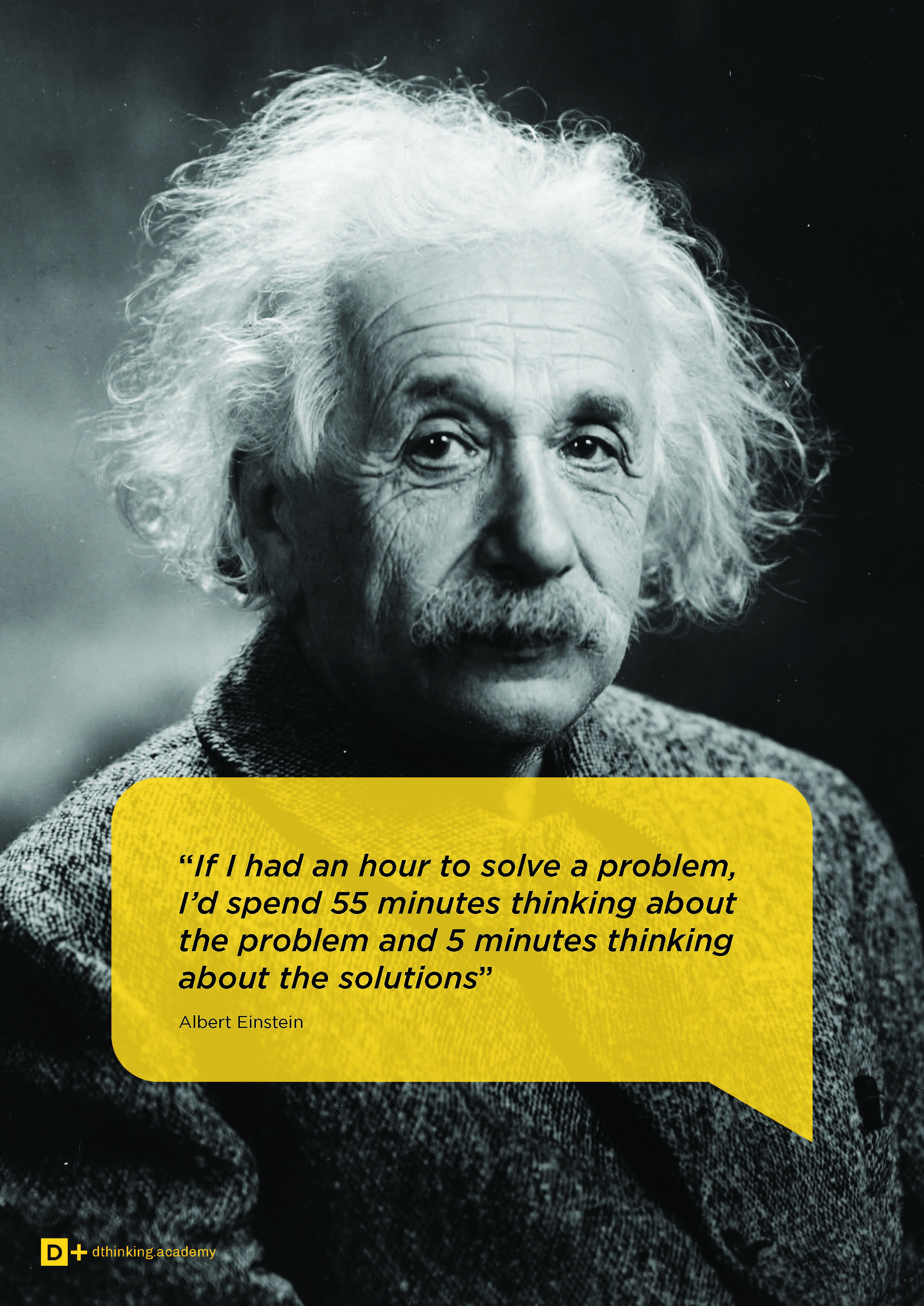 Think Different Einstein Poster