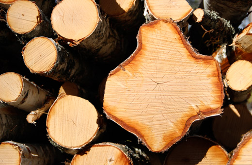 Vuosi 2021 oli vilkas puukauppavuosi