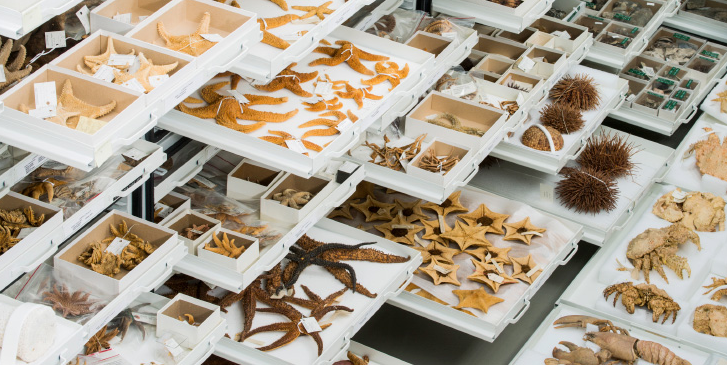 MasterIt | Accessioning Museum Collections - CatalogIt