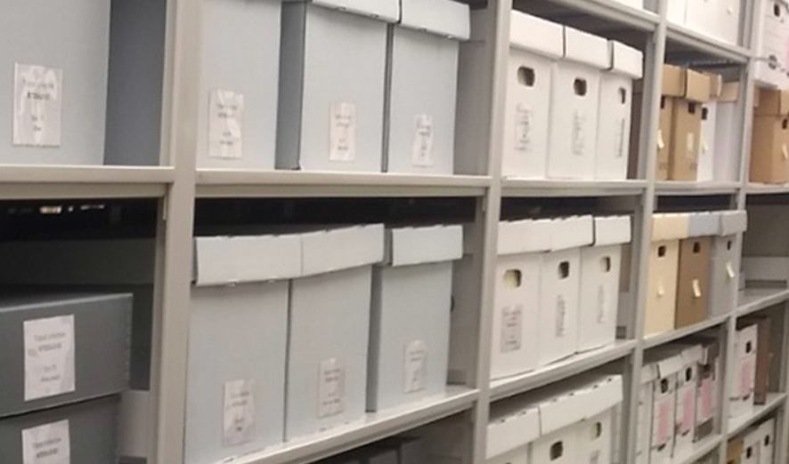 MasterIt | Cataloging Your Collections Backlog - CatalogIt