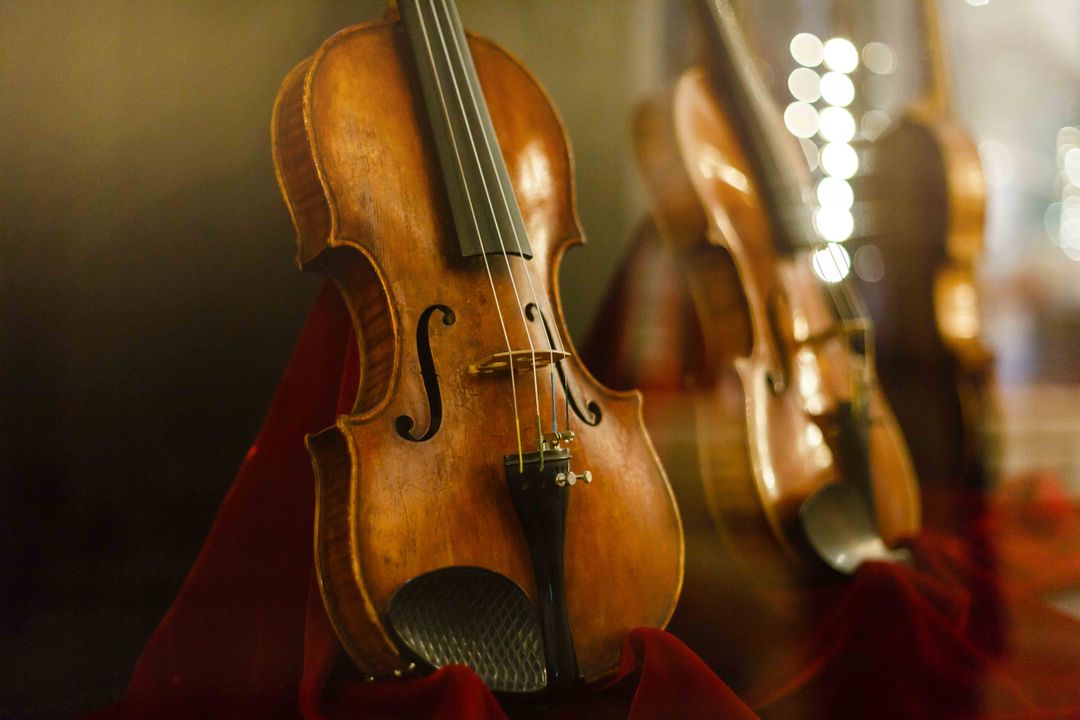 Fiddle vs Violin: What's the Difference?