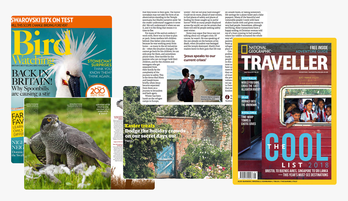 Focus: A beginner's guide to image licensing