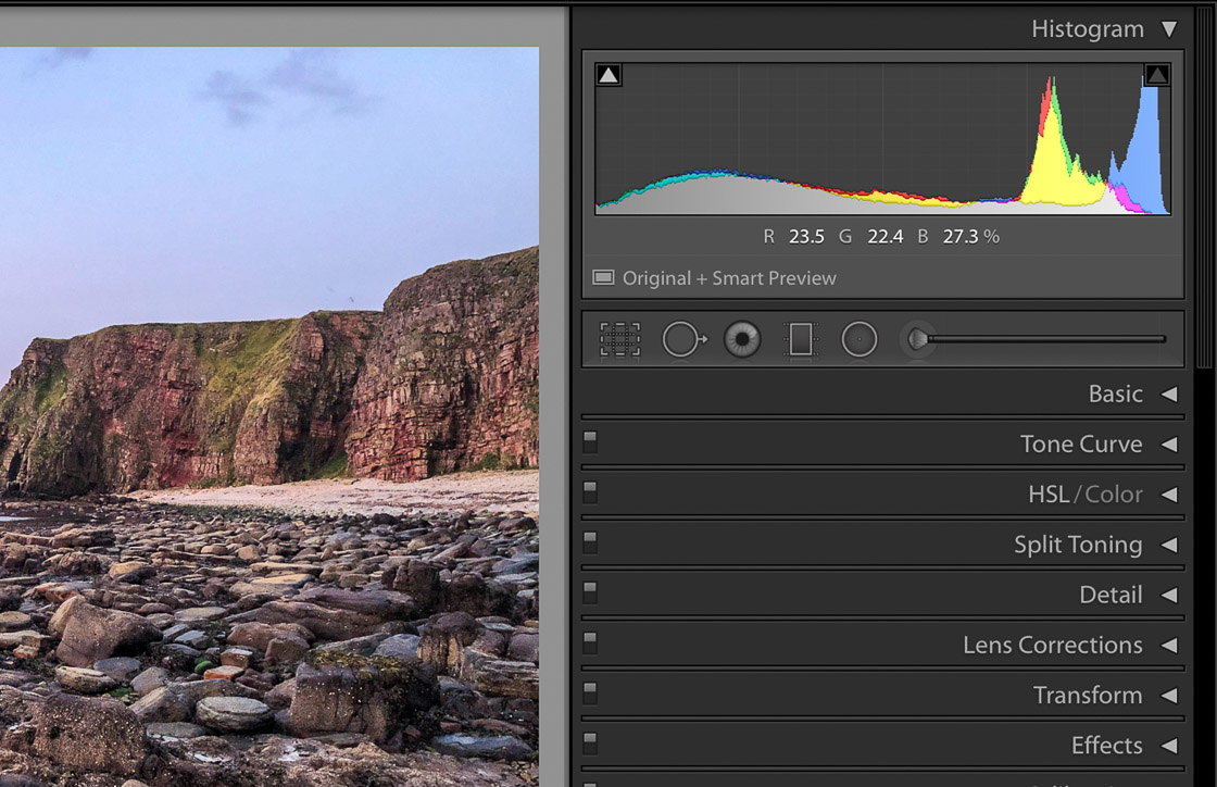 Focus: How to read a histogram