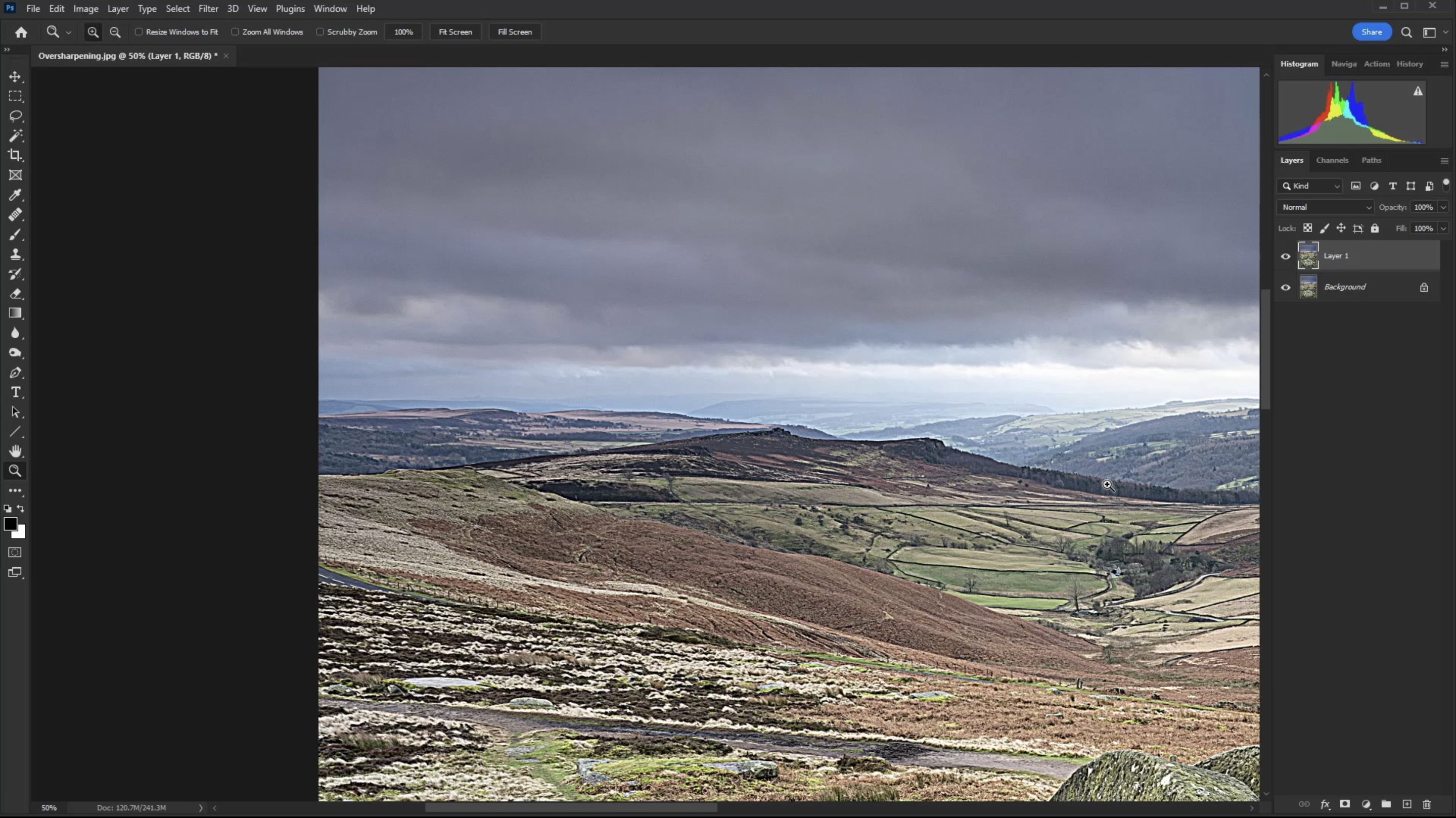 Focus: The signs that you're over-sharpening your photos (and how you ...