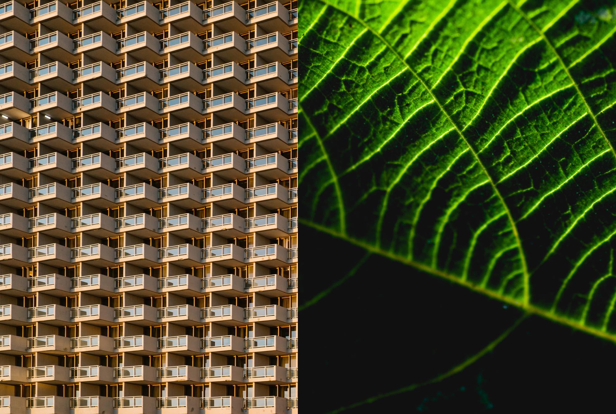 Focus: VIDEO: The 7 formal elements of photography explained