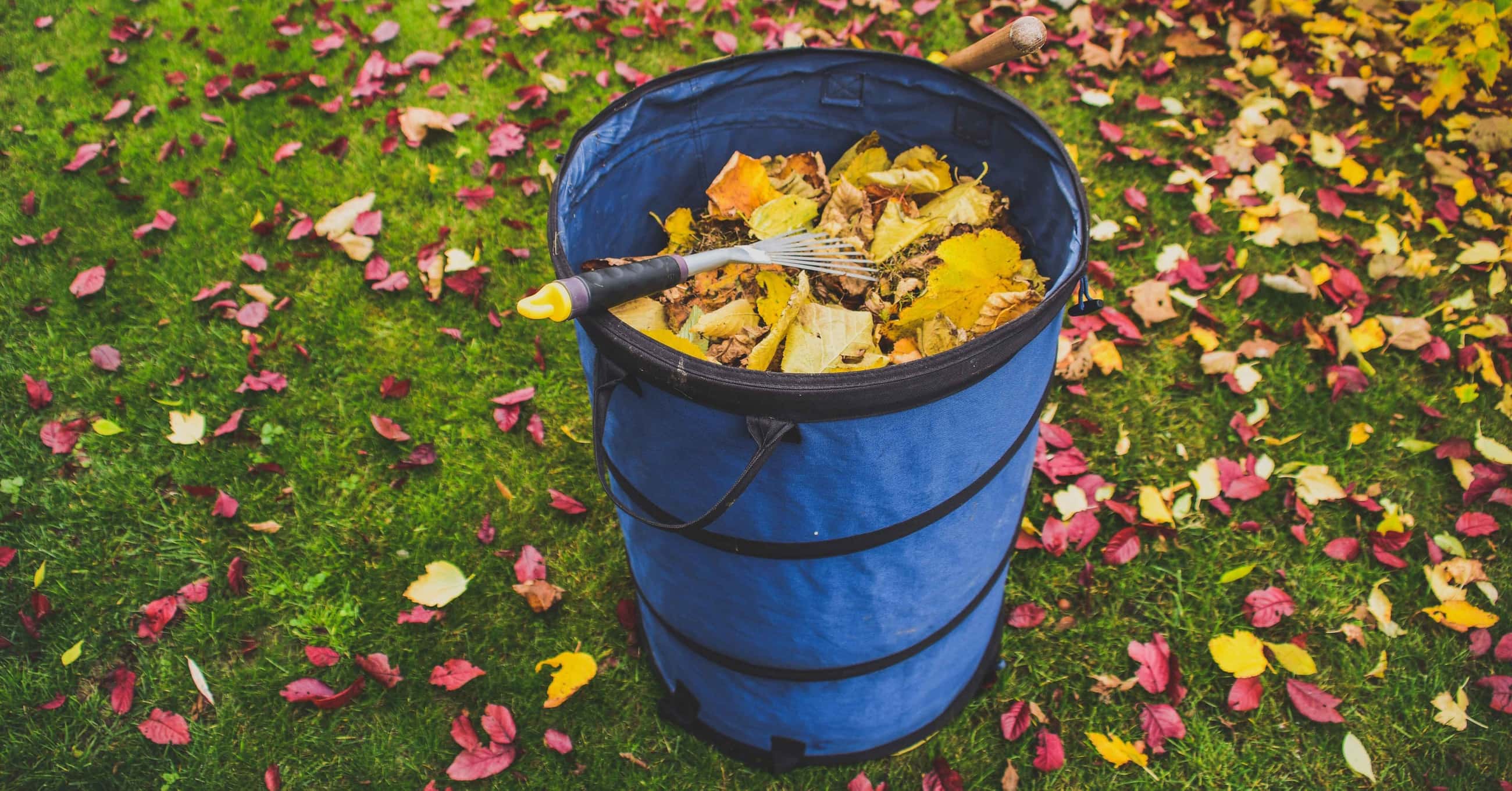 How to Ethically and Sustainably Dispose of Your Yard's Leaves This Autumn