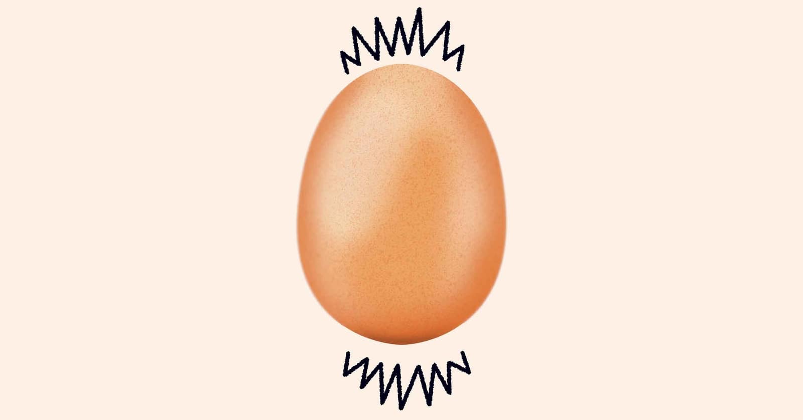 The Behind-the-Scenes Story of @World_Record_Egg