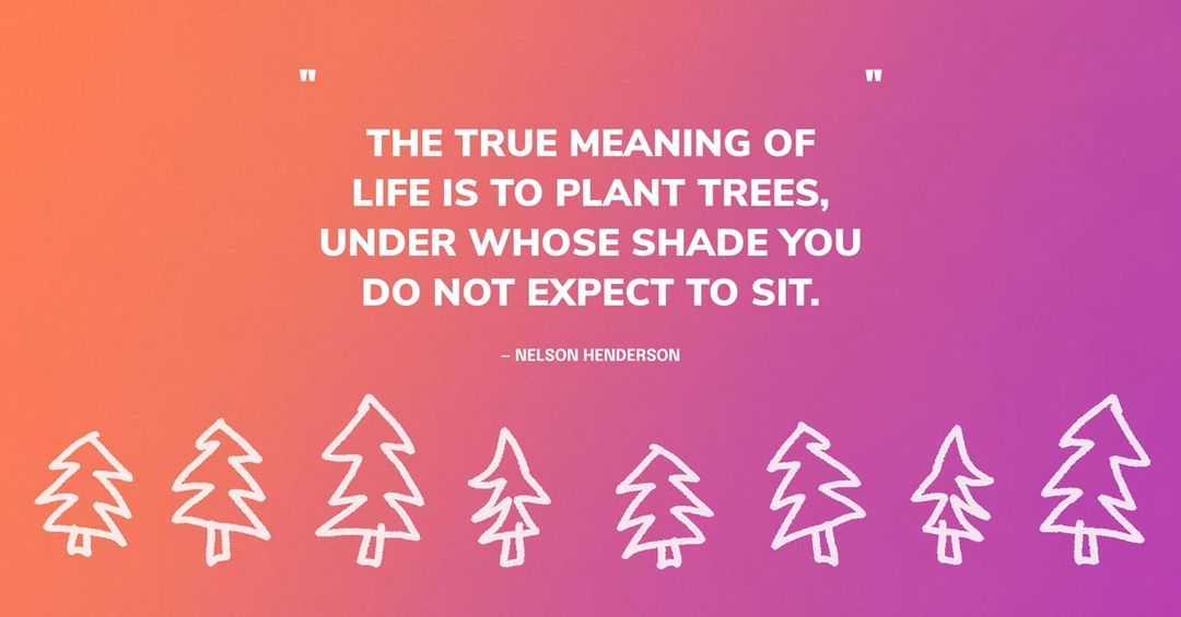 The 77 Absolute Best Quotes About Trees