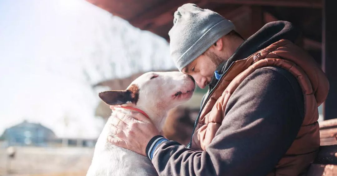 10 Heartwarming Stories About Dogs Saving Humans’ Lives