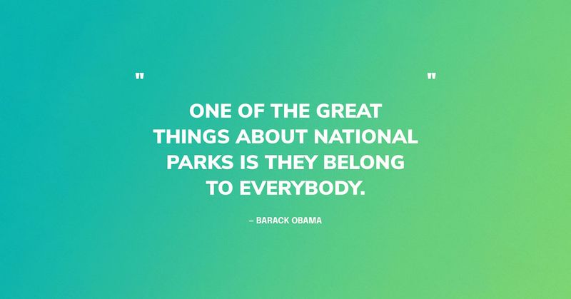 84 Best National Park Quotes For Your Next Adventure (2023)