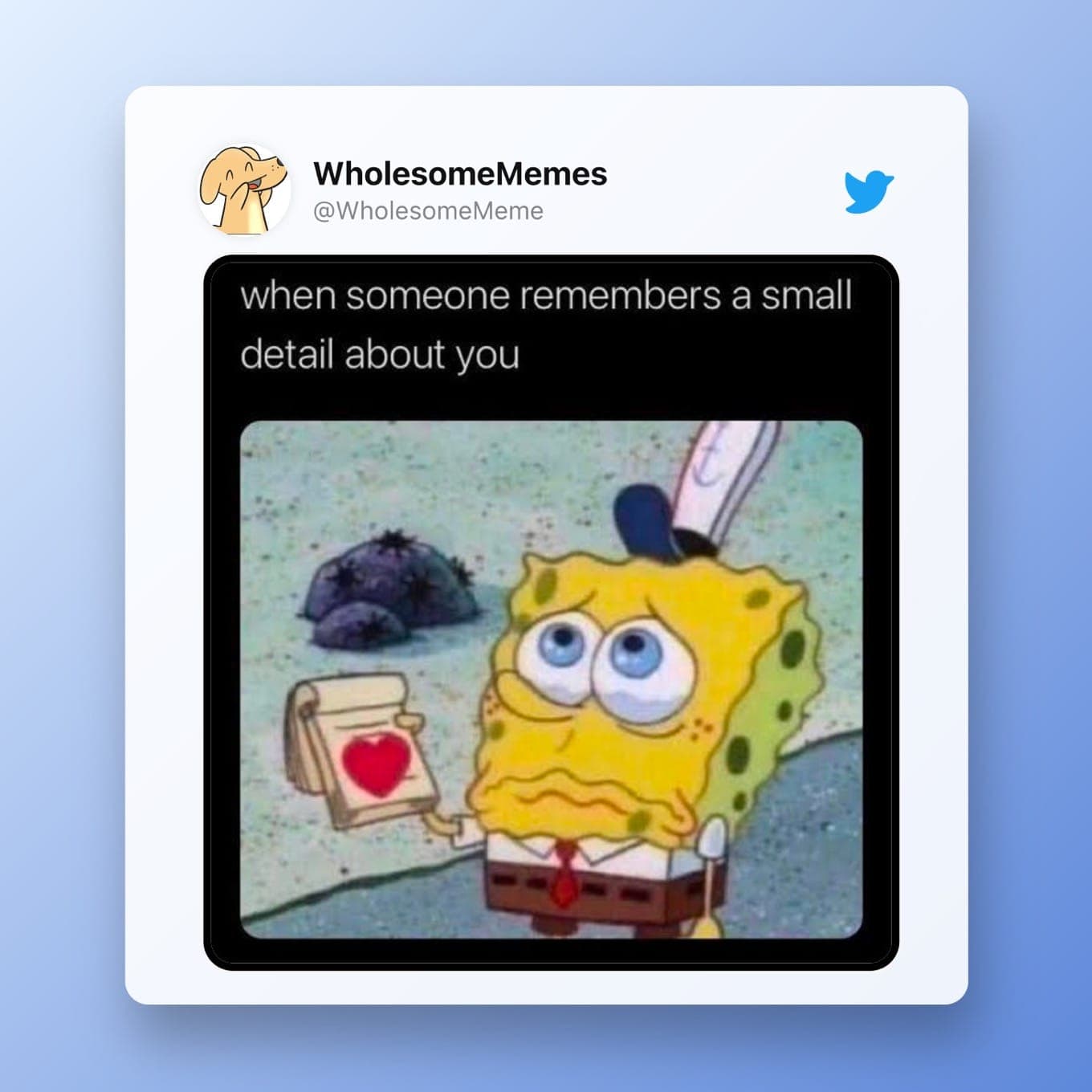33 Wholesome Memes To Absolutely Make Your Day