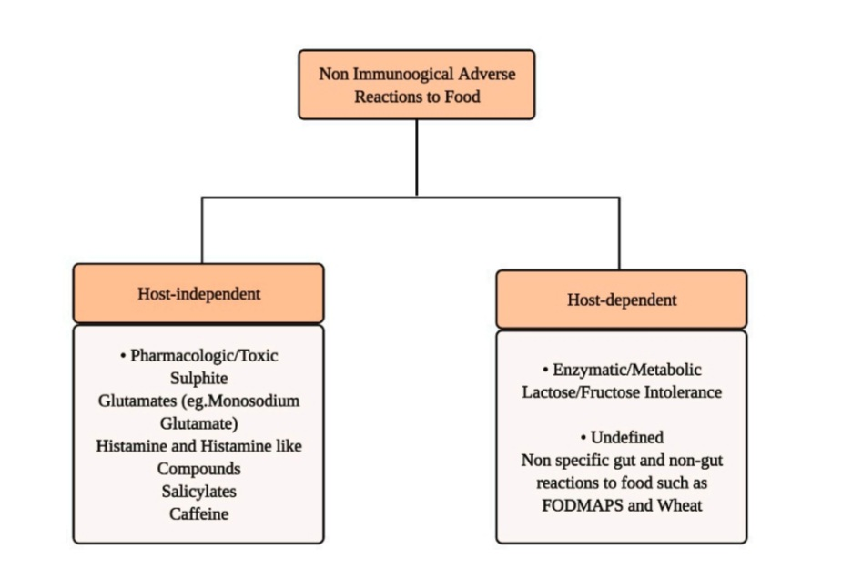 Intolerância alimentar: Etiologia, Tipos e Diagnósticos