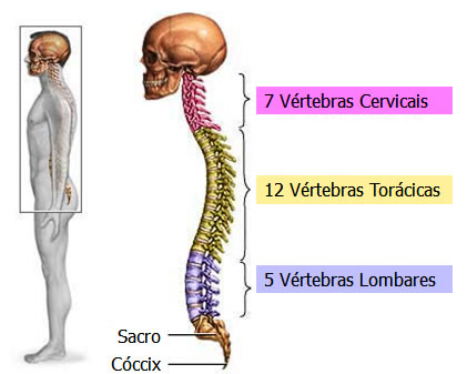 Anestesia Peridural: Definição, diagnóstico e tratamento