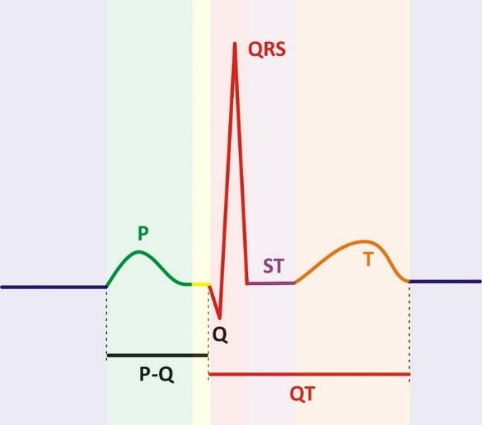 O que deve ser analisado no eletrocardiograma?