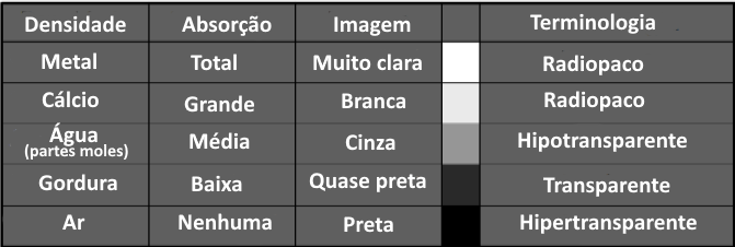 Tórax: como fazer diagnósticos através da Radiografia e Tomografia