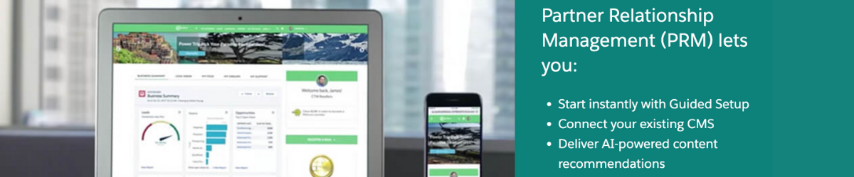 Salesforce PRM - Full Review, Pricing, Features & More!