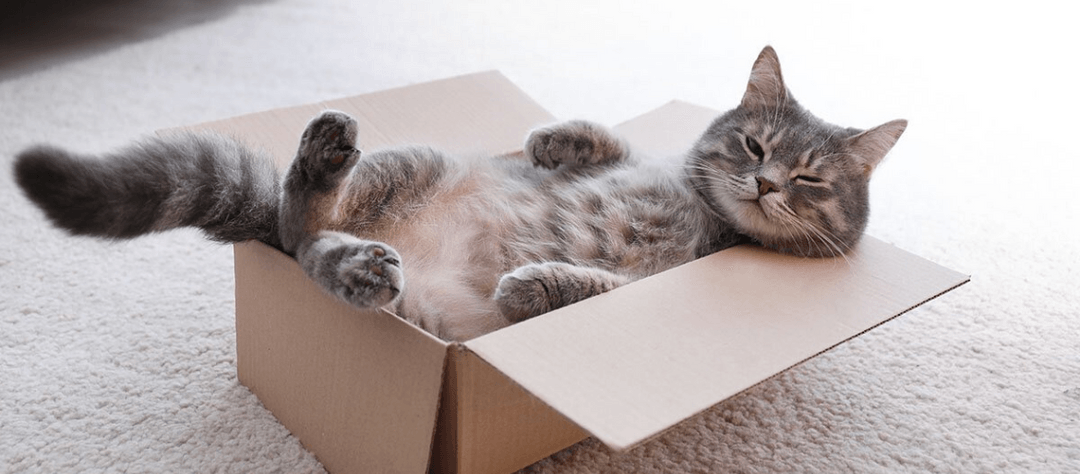 19 Hilarious Fundraising and Nonprofit Memes to Make You Laugh