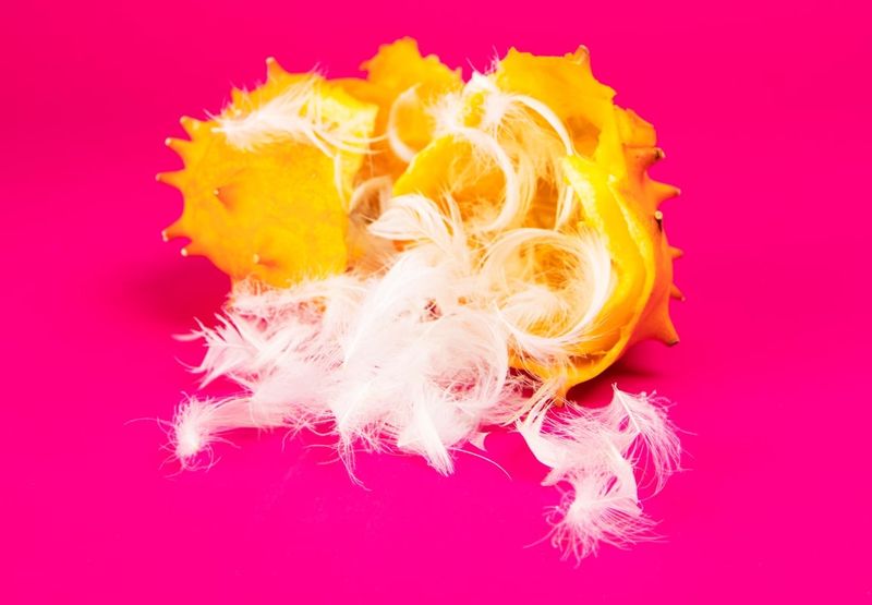 Turn Feedback into a Gift – Learn How to Become a Better Giver and ...