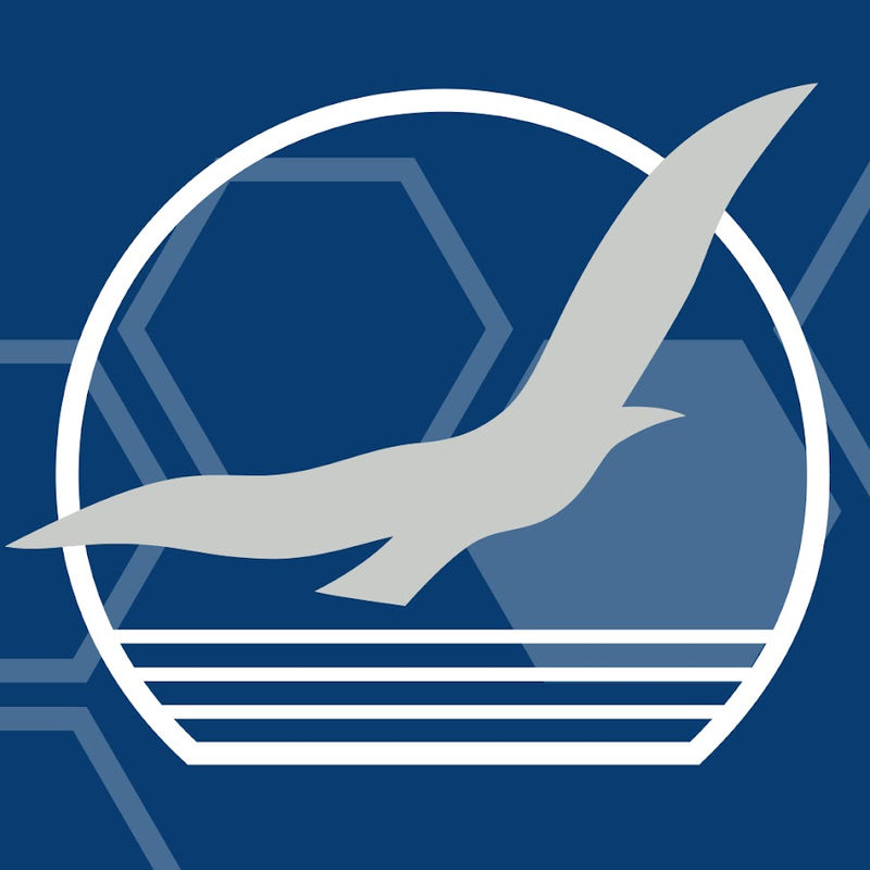 Seaview High School Showcase Umbrella Festival – The Lab – 63 Light ...