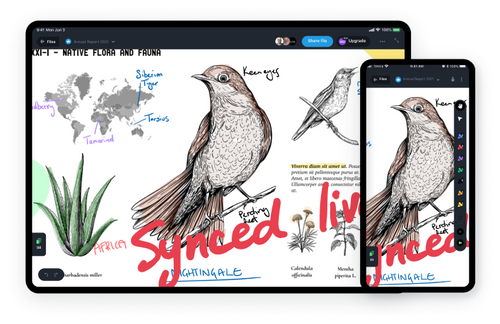 Top Drawboard PDF feature releases in 2021 | Drawboard