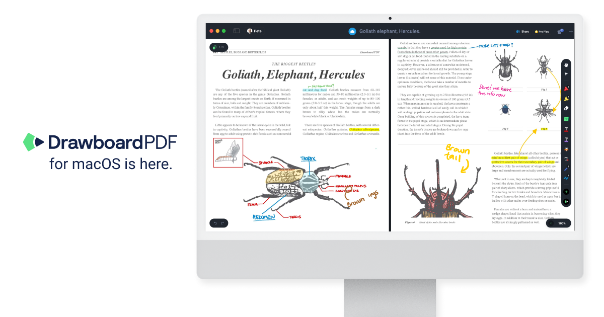 Drawboard PDF for macOS