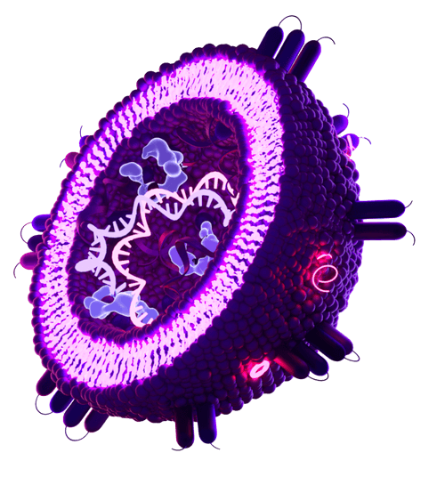 Isolate & Measure your Extracellular Vesicle Samples