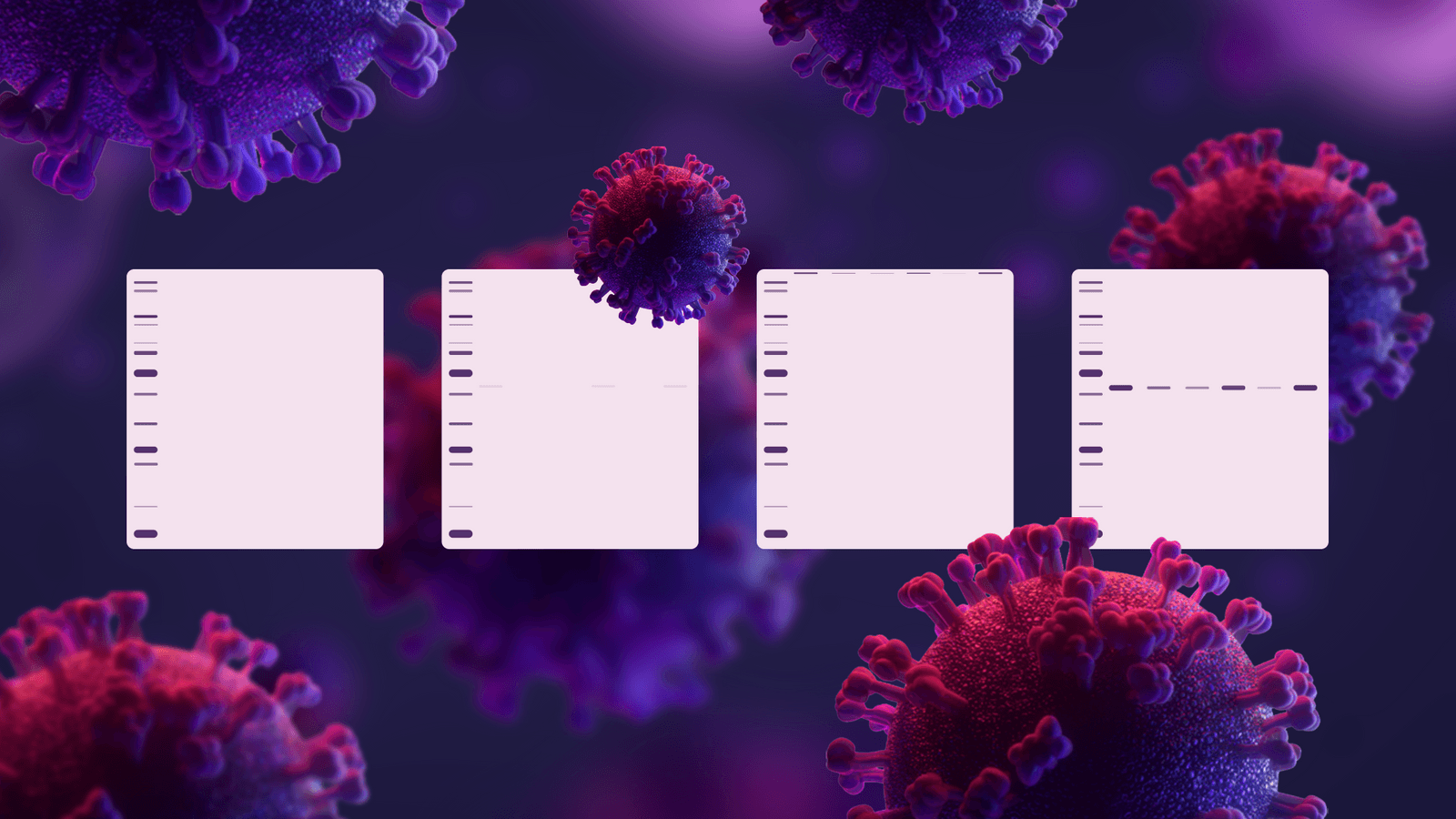 A Step-by-Step Guide to (Not) Failing at Extracellular Vesicle Western ...
