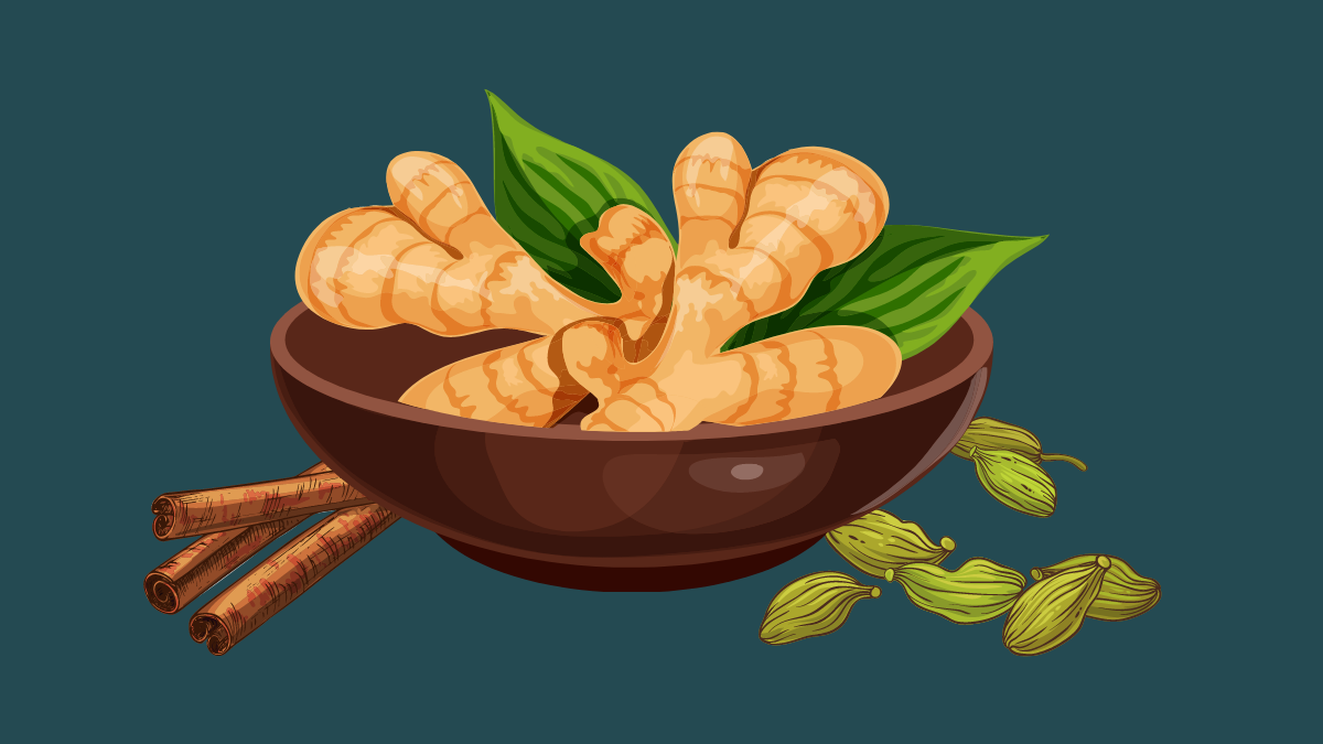 The Mighty Ginger Root And Your Mental Health