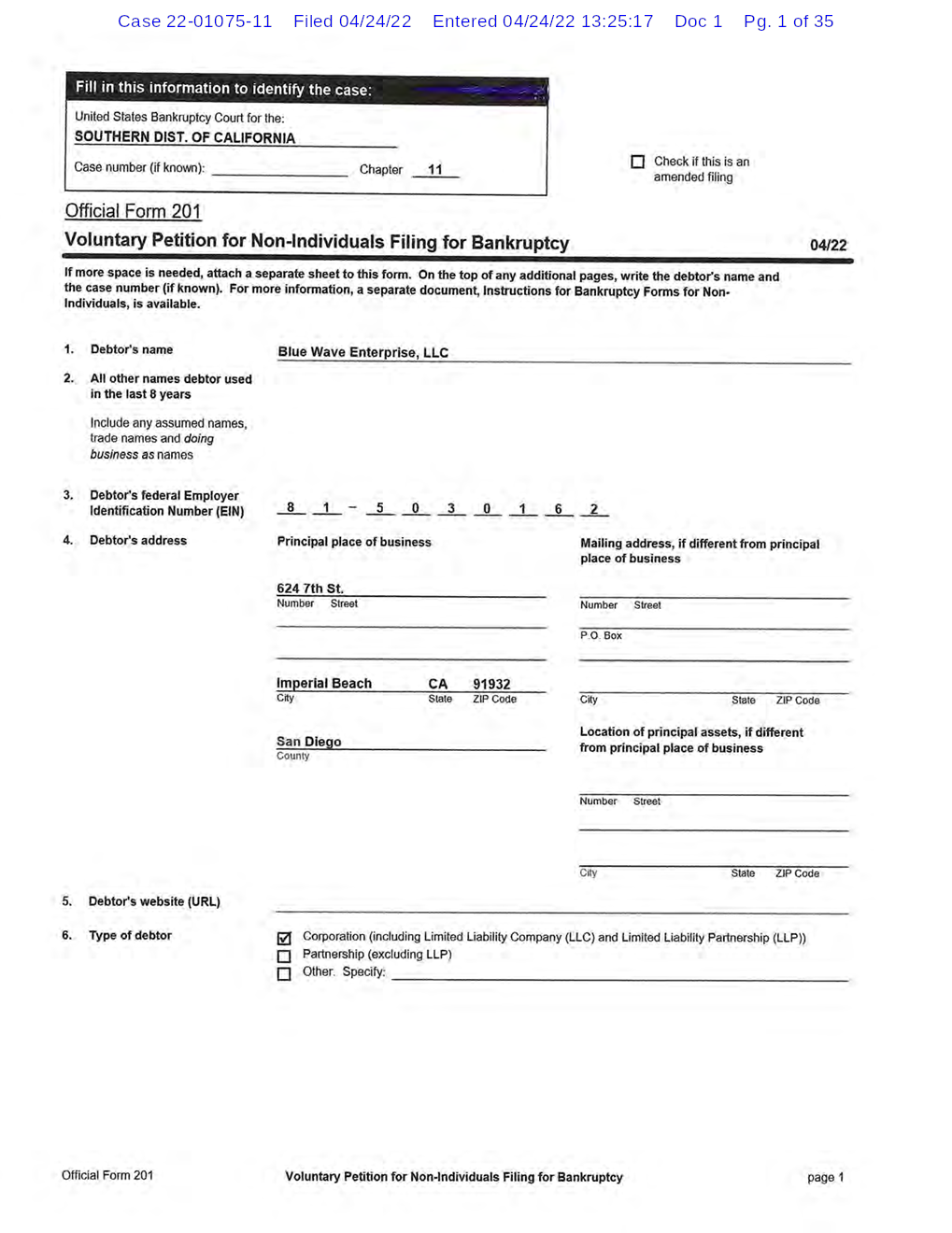 Blue Wave Enterprise, LLC | Free Bankruptcy Petition- Chapter 11 Filing ...