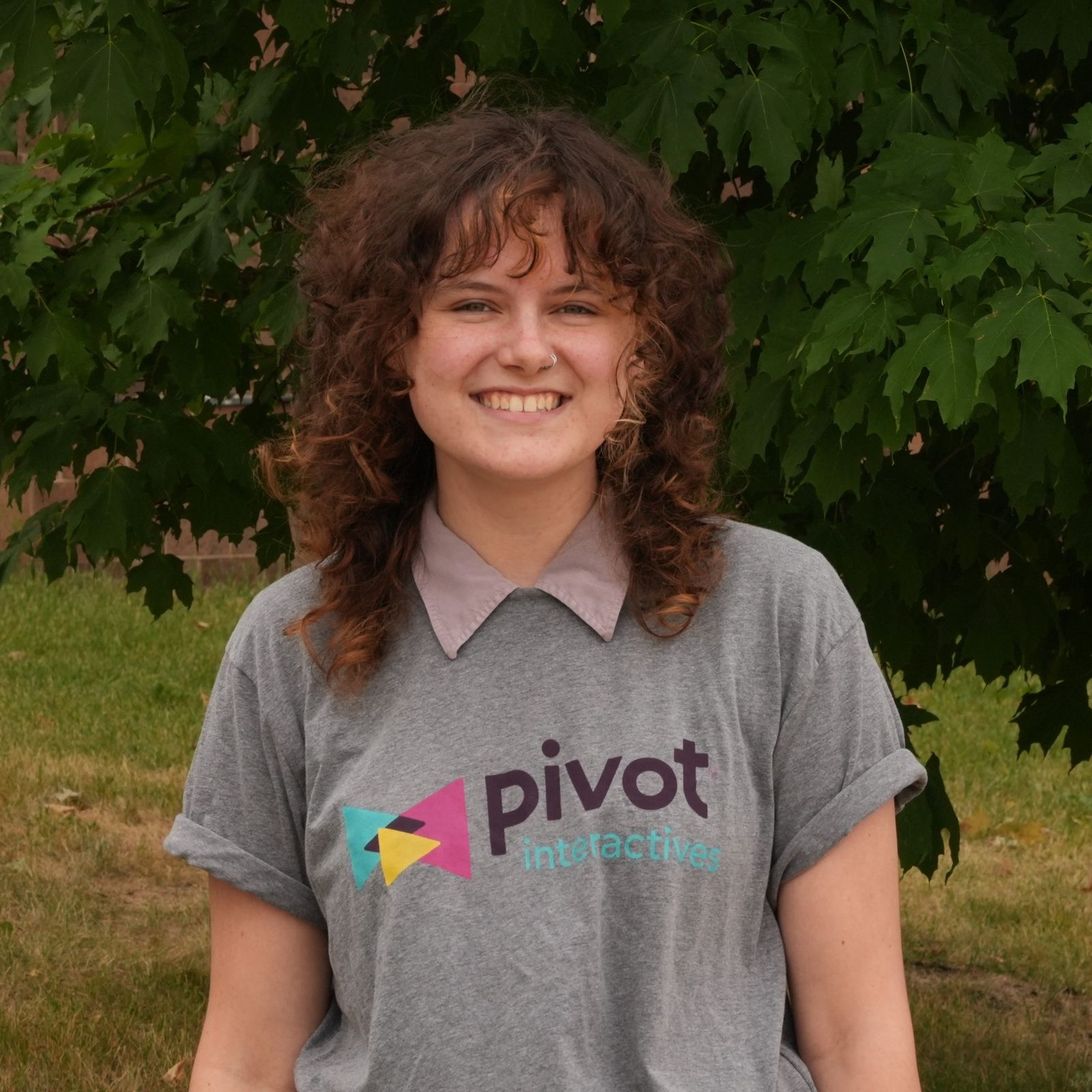 About Pivot Interactives - Built by Teachers