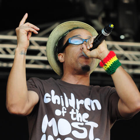 Arrested Development - Concert Reviews | LiveRate