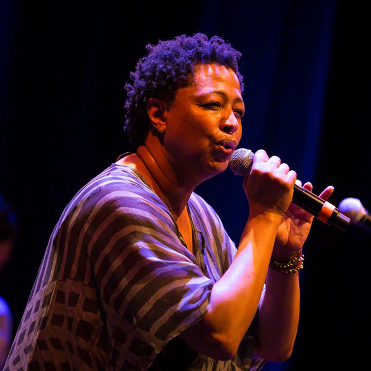 Lisa Fischer - Concert Reviews | LiveRate
