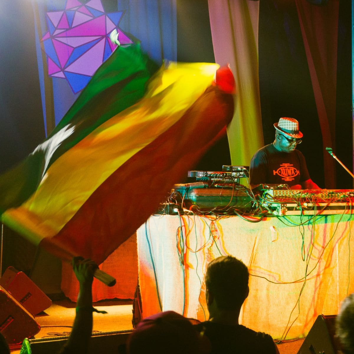 Mad Professor - Concert Reviews | LiveRate