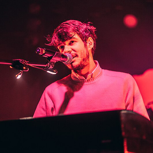 Rex Orange County - Concert Reviews | LiveRate